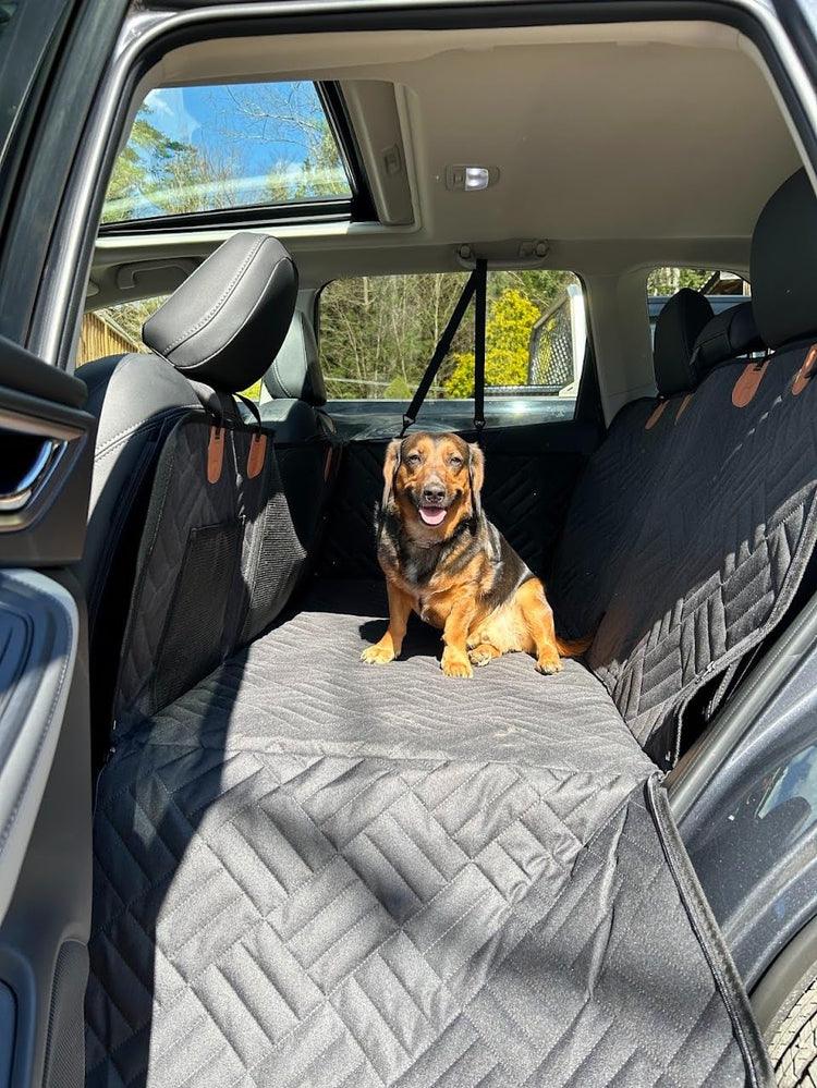 Ruff Rover 2.0 - Official Site | Premium Dog Car Seat Cover