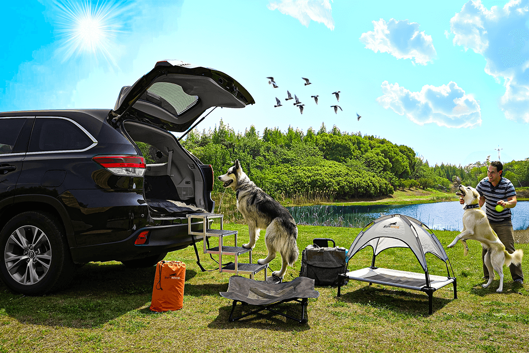 Ruff Rover 2.0 - Official Site | Premium Dog Car Seat Cover