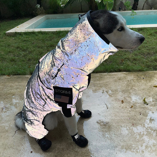 GlowGuard™ Reflective Waterproof Dog Coat for All Seasons – Ruff Rover