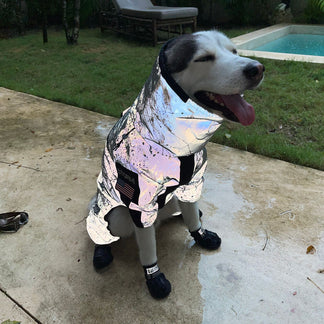 GlowGuard™ Reflective Waterproof Dog Coat for All Seasons – Ruff Rover