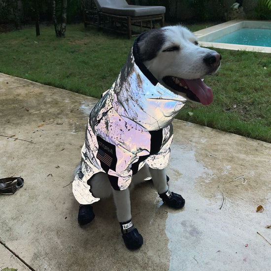 GlowGuard™ Reflective Waterproof Dog Coat for All Seasons – Ruff Rover